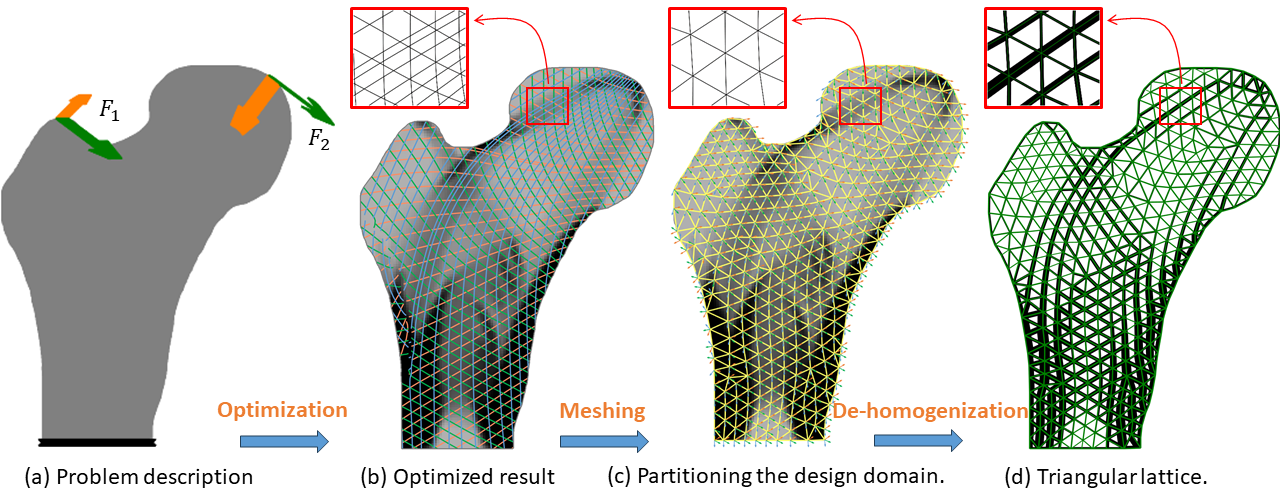 Design and Optimization of Functionally-graded Triangular Lattices for ...