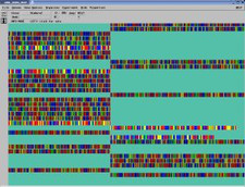 Efficient hardware-accelerated rendering for genome visualization ...